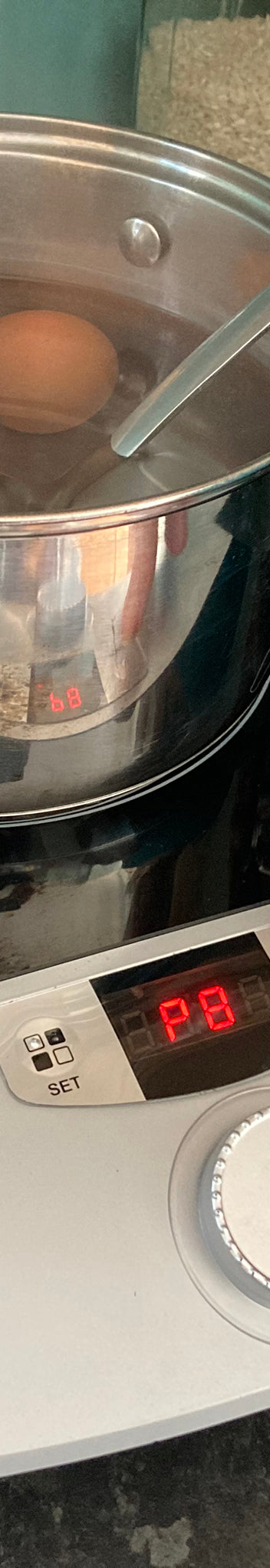 RNIB Talking Induction Hob