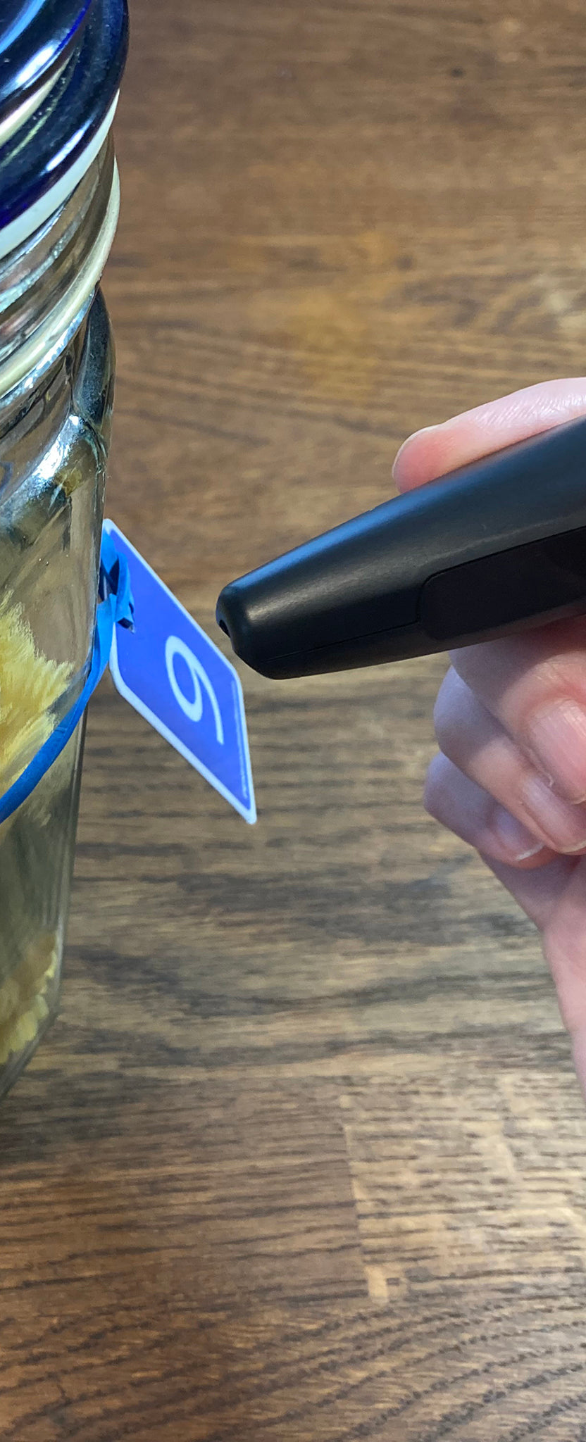 RNIB PenFriend 3 audio labeller