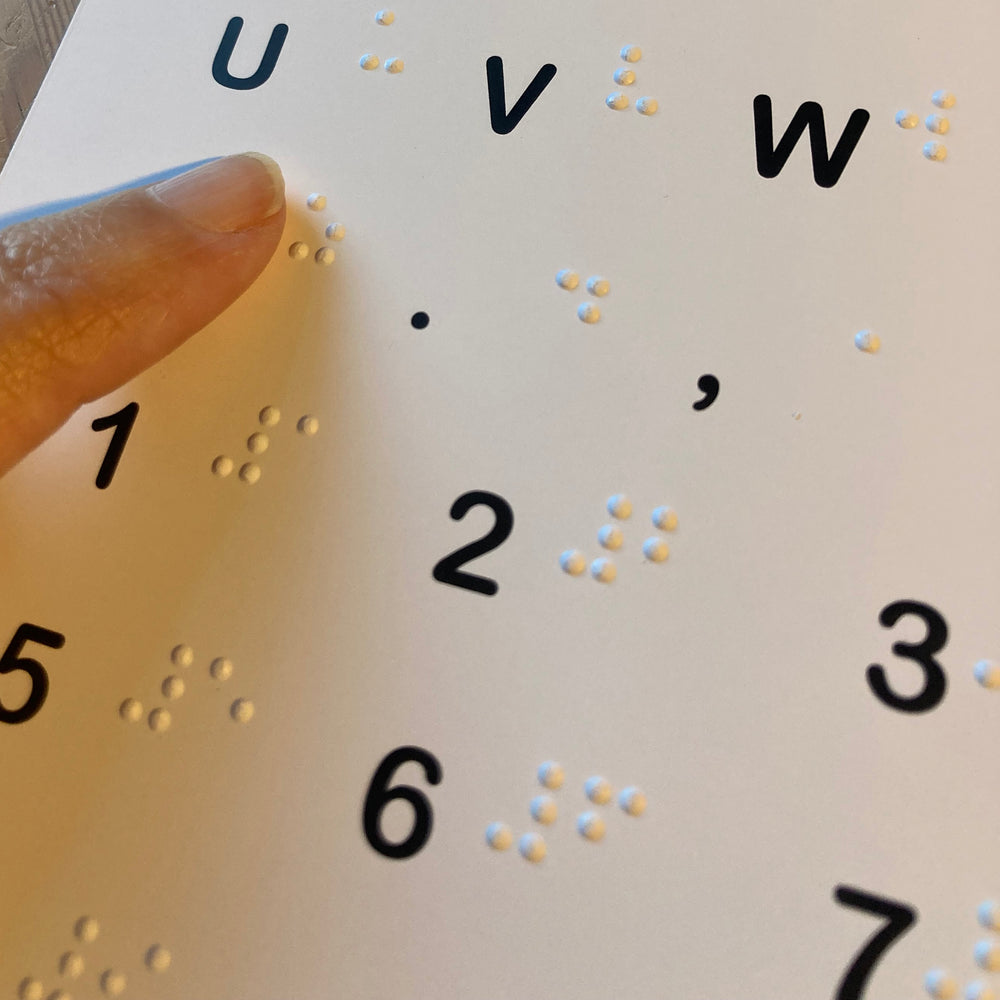 A3 Braille poster